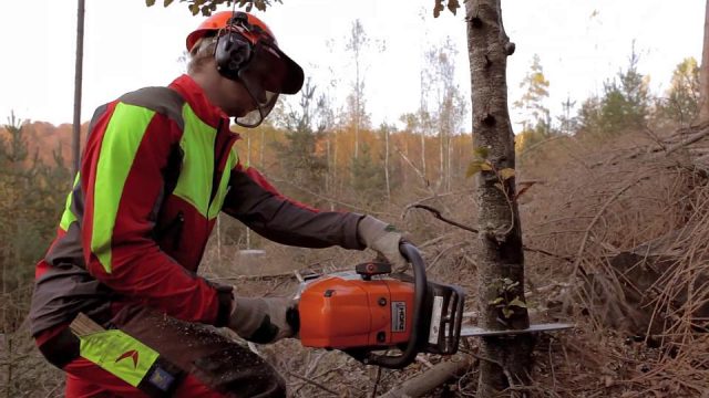 Forstwirt | die Ausbildung | das Video, viel Info + Links