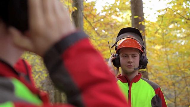 Forstwirt | die Ausbildung | das Video, viel Info + Links