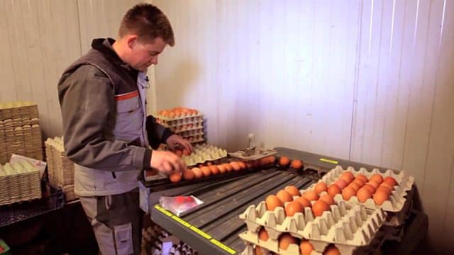 Landwirt | Die Ausbildung | Infos, Links und VIDEO